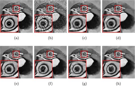 deep side group sparse coding network for image denoising yin 2023 iet image processing