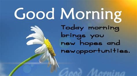 Incredible Collection Of Full K Good Morning Images Top