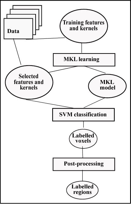 figure 1 from feature selection and classification using multiple kernel learning for brain