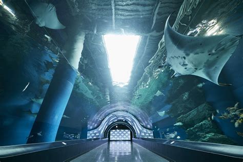 NAKED STAR AQUARIUM 滞在シーン別のモデルコースマクセル アクアパーク品川 maxell AQUA PARK
