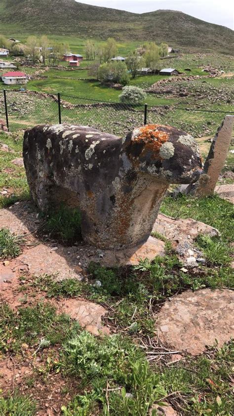 TÜRK DEGS TURK MAGS on Twitter Koç koyun at ve insan figürlü