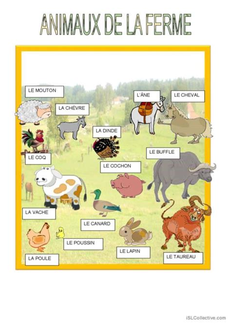 Animaux Fran Ais Fle Fiches Pedagogiques Pdf Doc