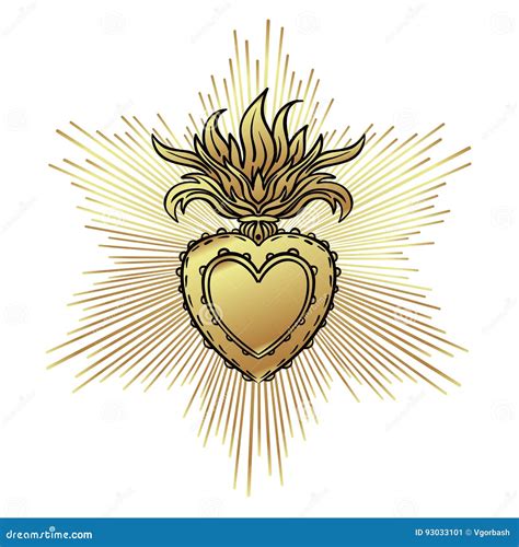 Cora O Sagrado De Jesus Raios Isola Do Preto Da Ilustra O Do