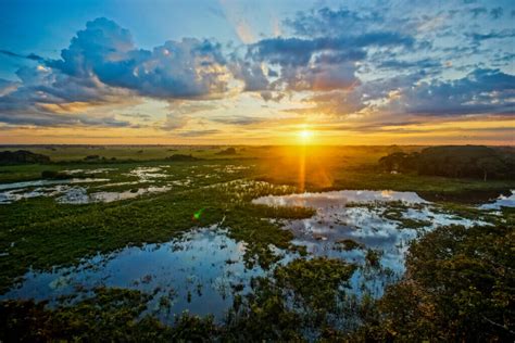 Pantanal conheça o principal destino de turismo ecológico do país