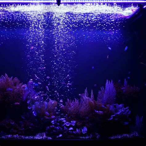 Jakie O Wietlenie Led Do Akwarium Litr W Akwahobby