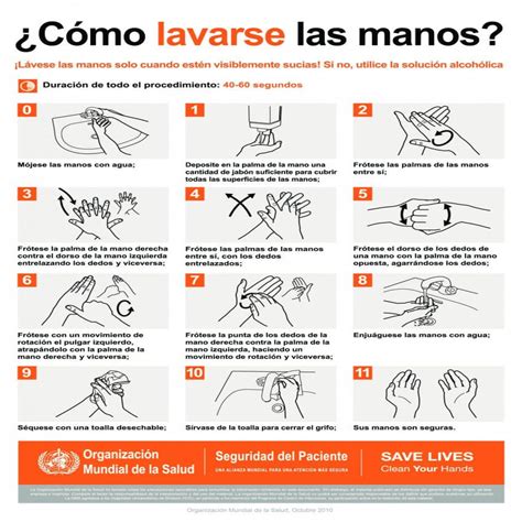 Cada cuánto hay que lavarse las manos para evitar enfermedades Mejor