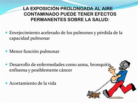 PPT EFECTOS DE LA CONTAMINACION SOBRE LA SALUD HUMANA PowerPoint