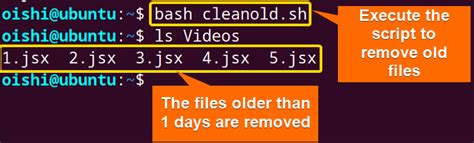 How To Loop Through Files In Bash Directory With Examples Linuxsimply