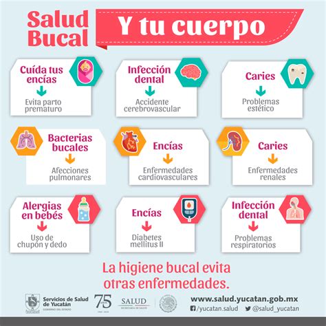 Higiene Y Salud Buco Dental Flashcards