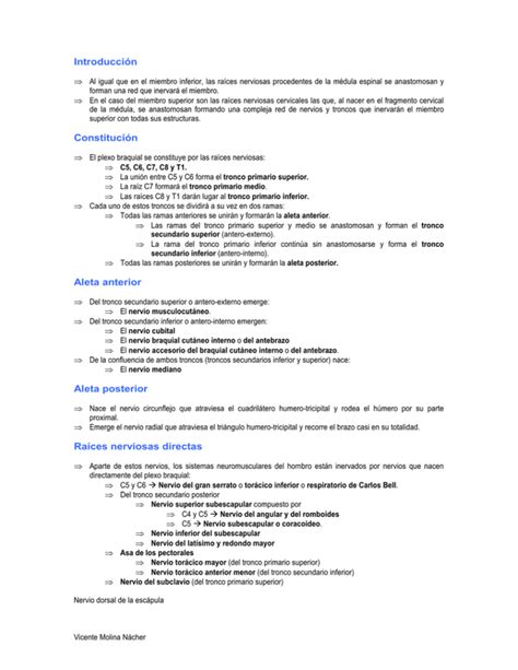 Plexo Braquial