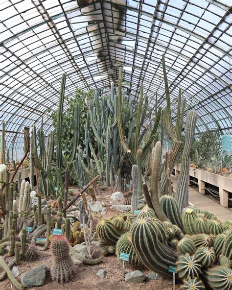 No Mie Roussel On Twitter Le Jardin Des Serres Dauteuil A T