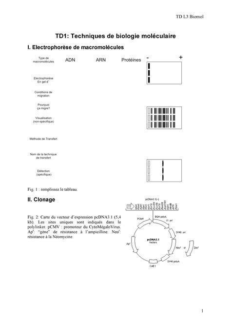 techniques biologie moléculaire TD L3 Biomol 1 TD1 Techniques de