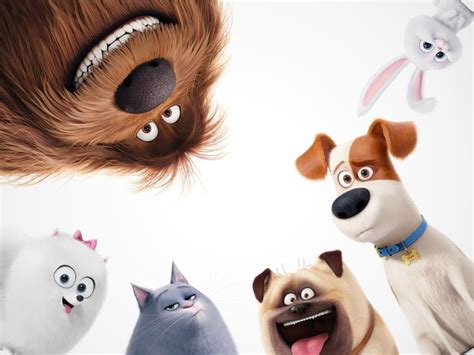 The Secret Life Of Pets Apple TV Secret Life Of Pets Pets Cute