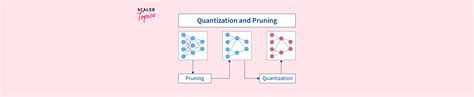 Quantization And Pruning Scaler Topics