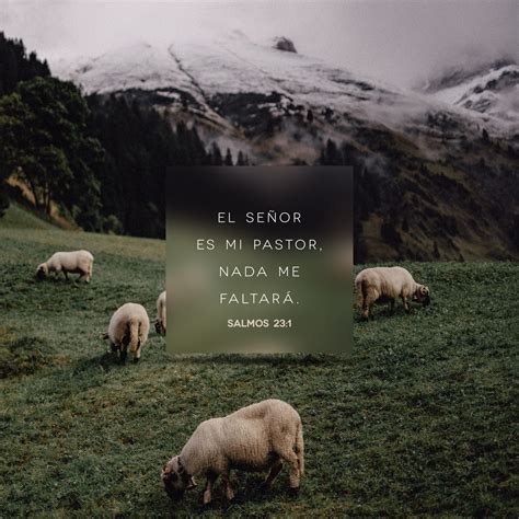 El Señor es mi pastor nada me faltará Salmos 23 1 Sunday Social