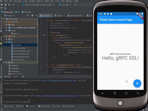GRPC Protoc Flutter Dart Client