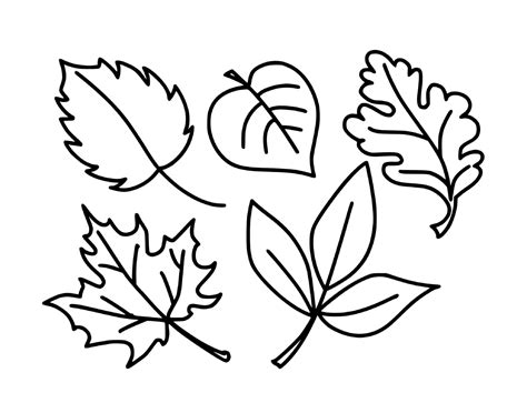 Dessin Feuille Automne Coloriages Imprimer