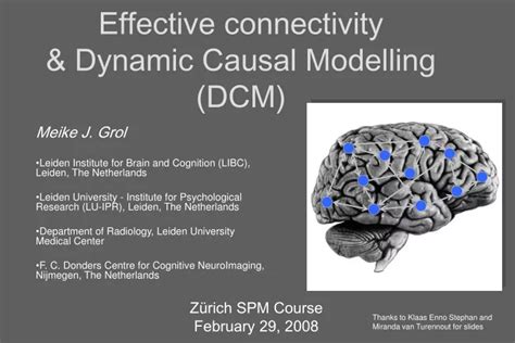 ppt effective connectivity and dynamic causal modelling dcm