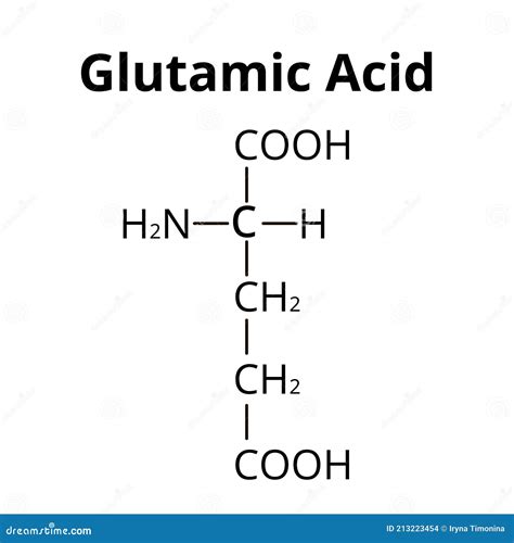 Glutamic Acid Molecular Structure Glutamate Vector Image Off