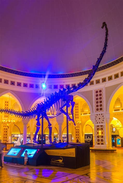 DUBAI UAE OCTOBER 26 2016 View Of A Skeleton Of A Real Dinosau In