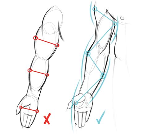 Figure Drawing Reference Anatomy Reference Art Reference Poses
