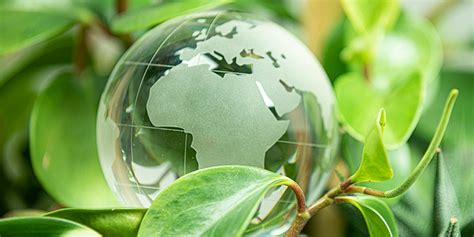 La Cámara de Comercio de España lanza ayudas para mejorar la