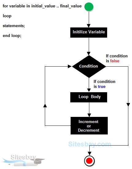 programming pl sql loops begin end for while loops pl sql structure vrogue