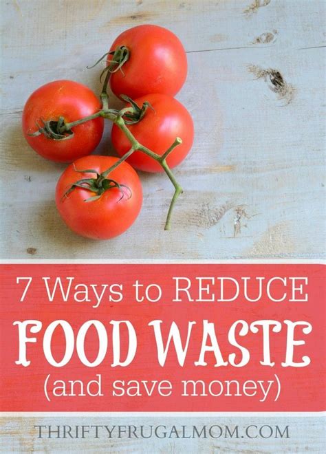 Throwing Food Away Is Like Throwing Money In The Garbage Thankfully