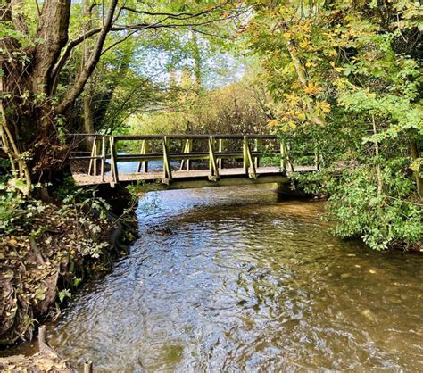 Mile Gomshall Shere Hike Silent Pool Gin Tour Surrey Hills