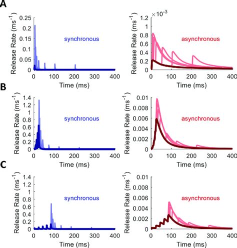 empirical facilitation in synchronous and asynchronous release rates download scientific