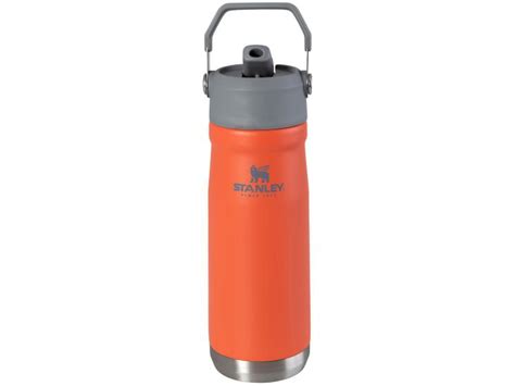 Garrafa Térmica Stanley 650ml Flip Straw Guava Garrafa Térmica