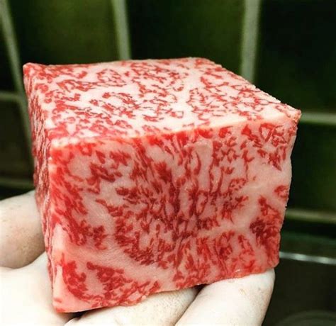 Qu Es La Carne Wagyu Y Por Qu Es La M S Cara Del Mundo Off