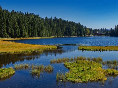 Lago Naturaleza Al Aire Libre Foto Gratis En Pixabay Pixabay