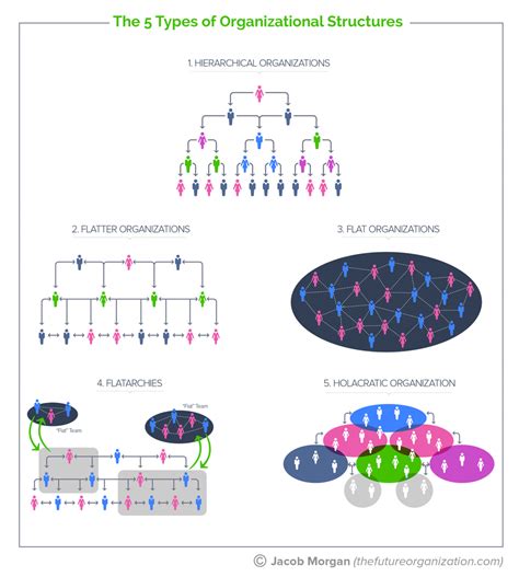 the complete guide to the 5 types of organizational structures for the future of work hr curator