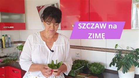 Szczaw Na Zim W S Oikach Na Zup Szczawiow Przetwory Youtube