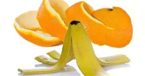 Kulit Buah Ini Ternyata Sangat Berharga Loh KASKUS