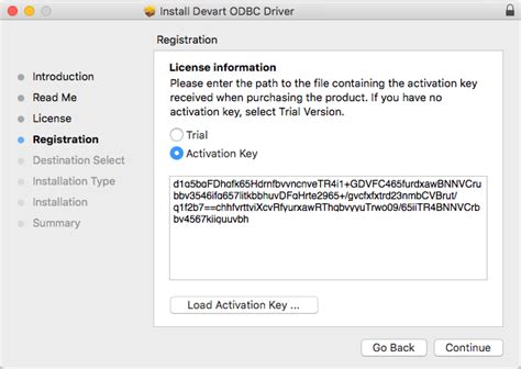 Salesforce ODBC Getting Started Guide