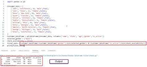 how to filter dataframe in python pandas 11 ways to filter pandas dataframe python guides