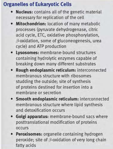 MCAT Quick Sheet Biology Flashcards Quizlet