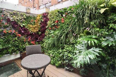 Cómo hacer un jardín vertical en tu terraza o jardín Masalia
