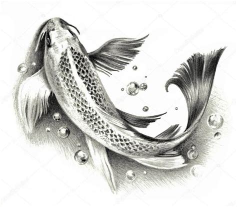 20 Dibujos de Peces a Lápiz Pescados para Imprimir