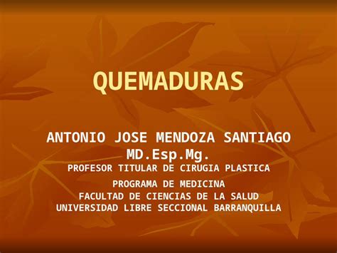 PPT QUEMADURAS CX PLASTICA DOKUMEN TIPS