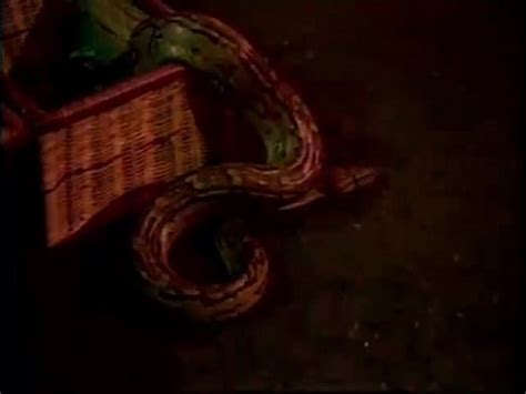 Girl Having Sex With Snake Telegraph