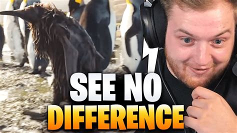 RUMATHRA Bist DU S REAKTION Auf DAILY DOSE Trymacs Stream