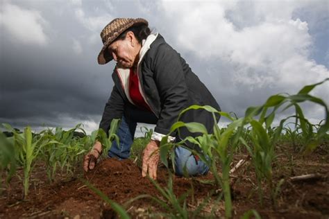 El financiamiento y cambio tecnológico impulsarán al campo mexicano