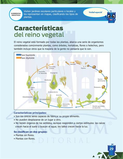 CIENCIAS NATURALES 7mo Grado 1 Kingdom Editorial Página 31 Flip