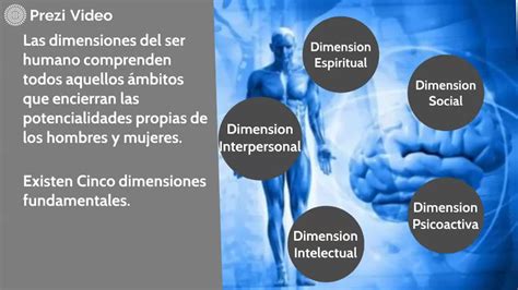 Dimensiones Del Ser Humano By Owen Angulo Castro On Prezi Video