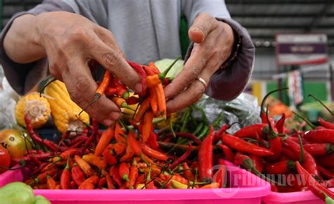 Harga Cabai Di Malang Naik Per Kilo Tembus Ribu Foto