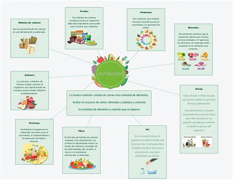 Arriba 94 Imagen Un Mapa Mental De La Nutricion Abzlocal Mx