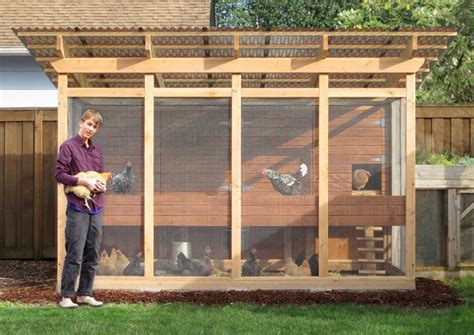 Free Chicken Coop Designs Australia Image To U